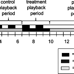 Schematic timeline of the playback experiment.