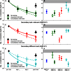 Learning and transfer on the secondary tasks.