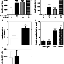 Glucose-stimulated insulin secretion in EndoC-βH1, INS-1 832/13 cell ...