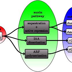 Module specific regulation.