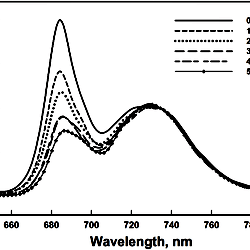Chlorophyll Fluorescence Spectrum