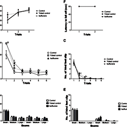 Results of the motor tests.