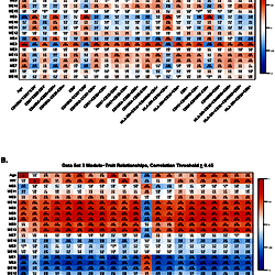 Heat map of module-trait relationships.