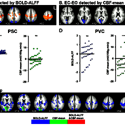 BOLD-ALFF (A) and CBF-mean (B) for EC compared with EO using HNU data.