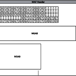 A basic description of a MAF file.