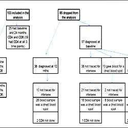 Flow Chart of Follow Up and Loss to Follow Up.