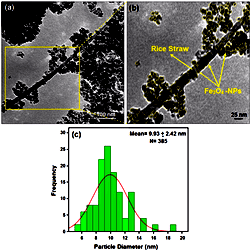 Transmission electron microscopy images and histogram of particle size distribution for rice ...