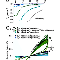 Converting a gain-neutral channel into a gain-modulating channel.