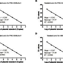 Standard curve for PML-RARa bcr1, bcr2, bcr3 and ABL control gene.