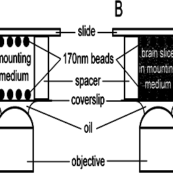 Experimental setup for evaluating axial resolution at different ...