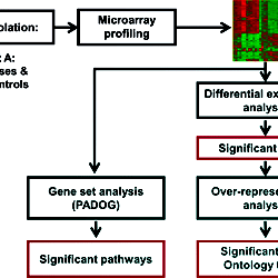 Microarray study flow diagram.