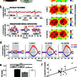 fNIRS Analysis and Results.