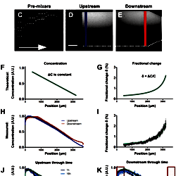 le Massif microfluidic gradient generator can produce shallow linear ...