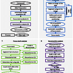 Automated SMART process.