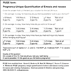 PUQE-24*-questionnaire used in prospective cohort validation study of ...