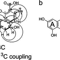 Structural analysis and elucidation of frankiamicin A (4).