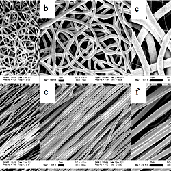 SEM micrographs of fibrous scaffolds.