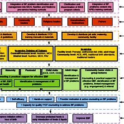Program impact pathways analysis: Addressing breastfeeding challenges ...