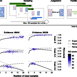 The bead-sampling task.