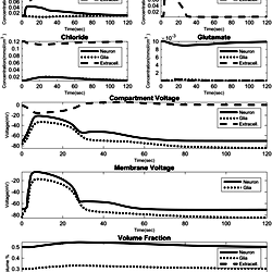 Example 1D simulation.