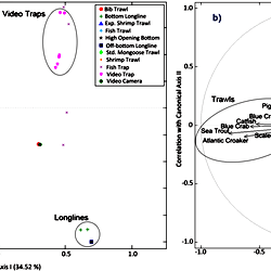 Canonical analysis of principal coordinates (CAP) point (a) and vector ...