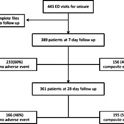 Flow chart ED: emergency department.