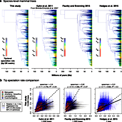 Tip-level speciation rates (tip DR metric) from this study versus ...