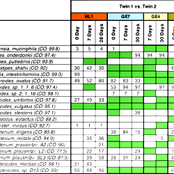 Summarized WSS scores for children twin sets.