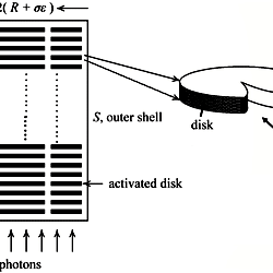 Structure of an idealized rod outer segment.