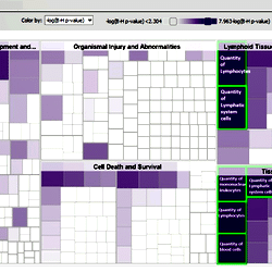 Hierarchical heatmap with diseases and bio-function category and top 5 ...