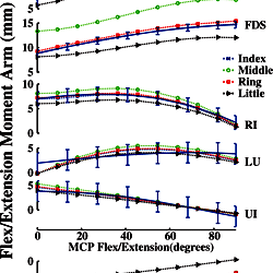 Flex/extension moment arms (mm) as a function of flexion (+)/ extension ...