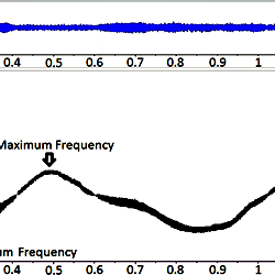 Spectrogram of a dolphin's whistle.