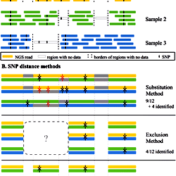 Description and comparison of three SNP distance methods.