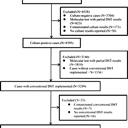 The flow chart of cases tested with conventional DST from 2010 to 2017.
