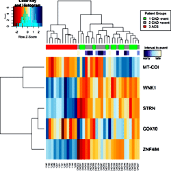 Gene expression heat map.