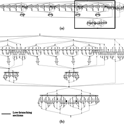 Task graph of BOTS Sort.