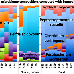 A stacked bar chart of the relative abundance of the bacterial ...