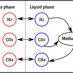 Schematics of the in vitro methanogenesis process by hydrogenotrophic ...