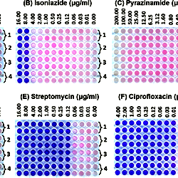 MICs against various drugs as indicated for the different strains.