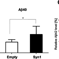 Syn1 expression increases Aβ levels in PS70 cells.