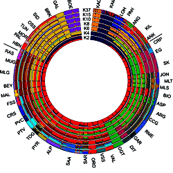 Circular representation of Admixture analysis at K = 2, 4, 6, 8, 10, 15 ...