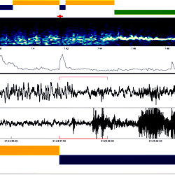 AccuSleep interface for manual sleep scoring.