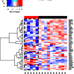 Heat map for comparison group 2 (high TBSA).