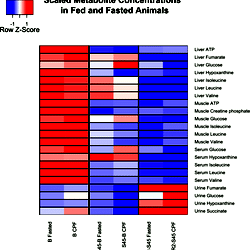 Heatmap of key differences in energy dependence between fasted and fed ...