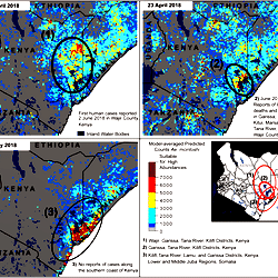 Predicted elevated abundances prior to the 2018 epizootic (heat maps ...
