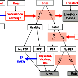 Model framework used in this study for estimating the global burden of ...