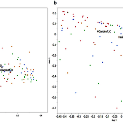 The diversity and abundance of fungi and bacteria on the healthy and ...