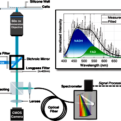 Schematics of microspectroscopy setup.