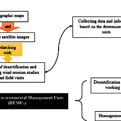 Graphical abstract of the methodology.