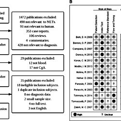 The flow diagram and the quality assessment.